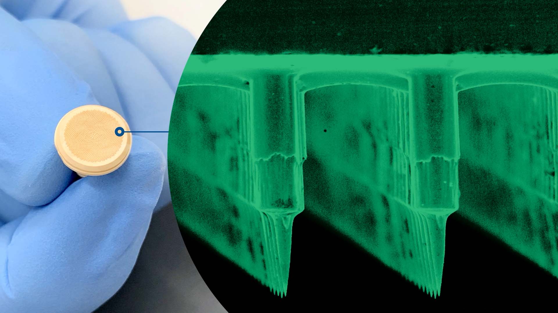 Bench Side Story – Moments with researchers