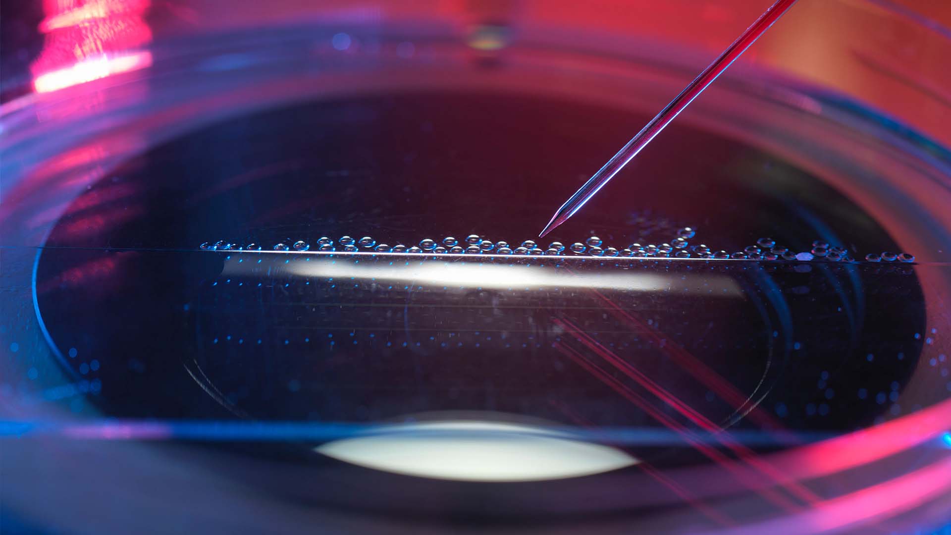 Bench Side Story – Moments with researchers